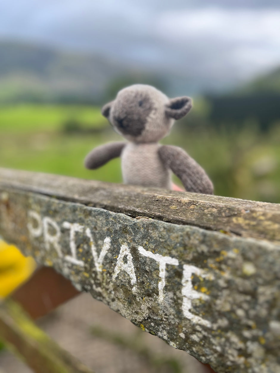 Locket's Year of Little Cotton Rabbits – Lucy Locket Land